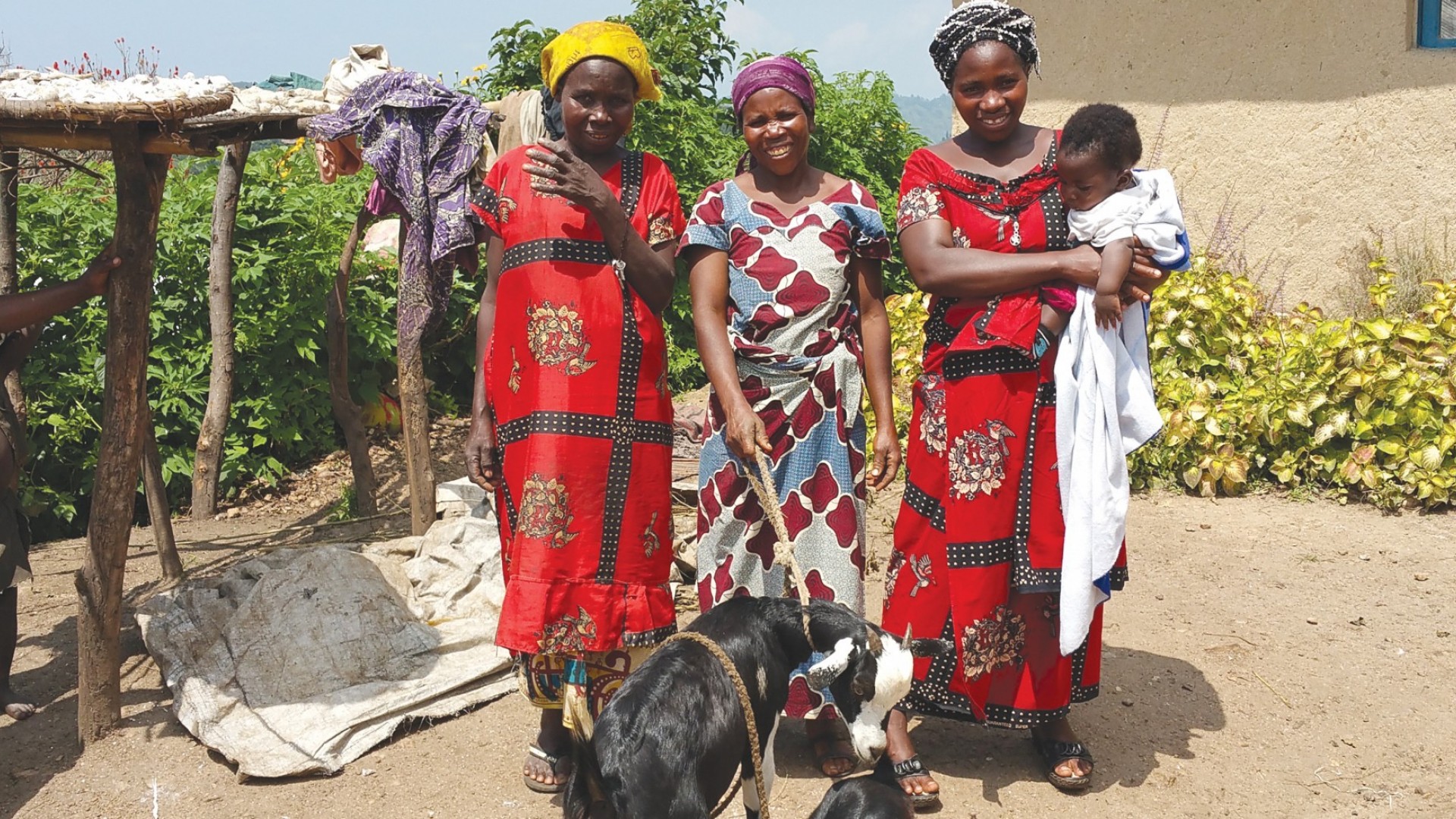 Cà phê Equal exchange Coffee Organic Congo Project - 454gr Whole bean ...